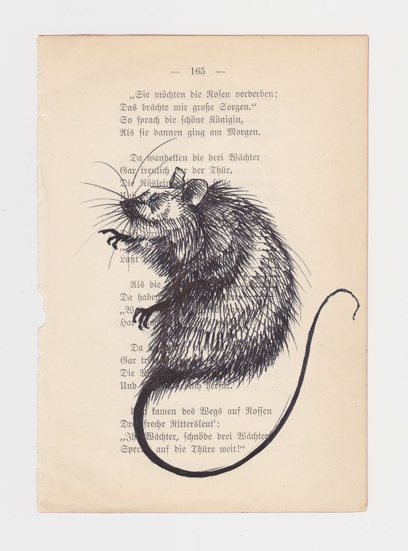 Icarus - Enter Art Foundation