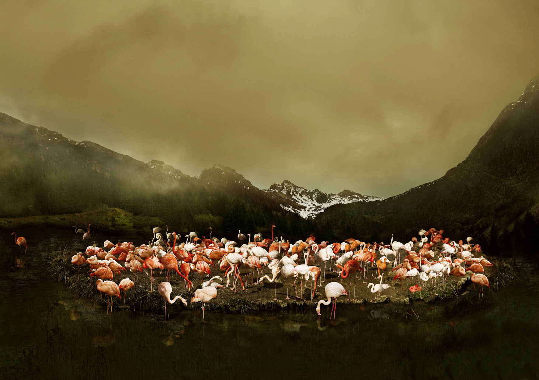 It’s my pleasure to serve you 2, Gentle Highlands - Enter Art Foundation